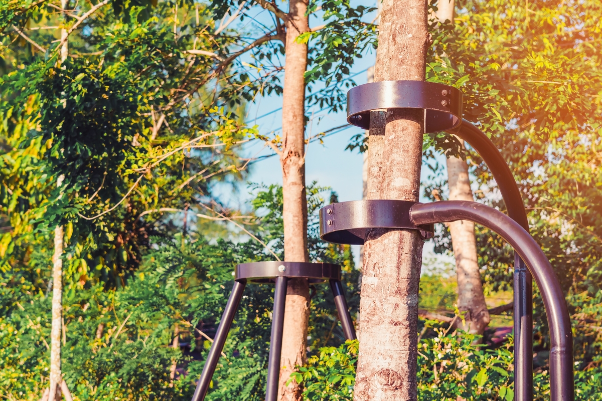 The Rising Demand for Tree Cabling and Bracing: Techniques and Benefits