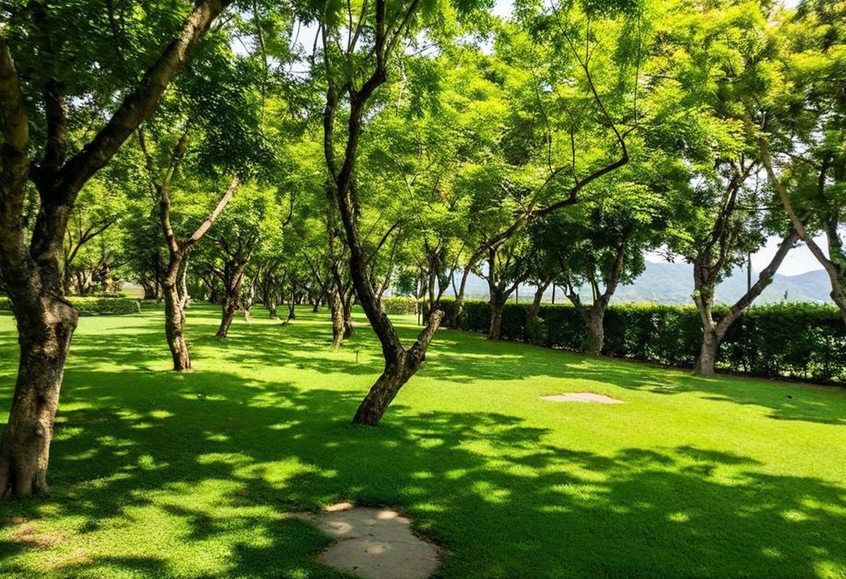 Growth Cycles Uncovered: Tree Care Tips for Year-round Health