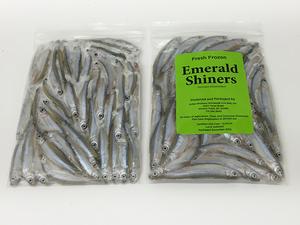 Frozen Emerald Shiner - Gollon Brothers Wholesale Live Bait